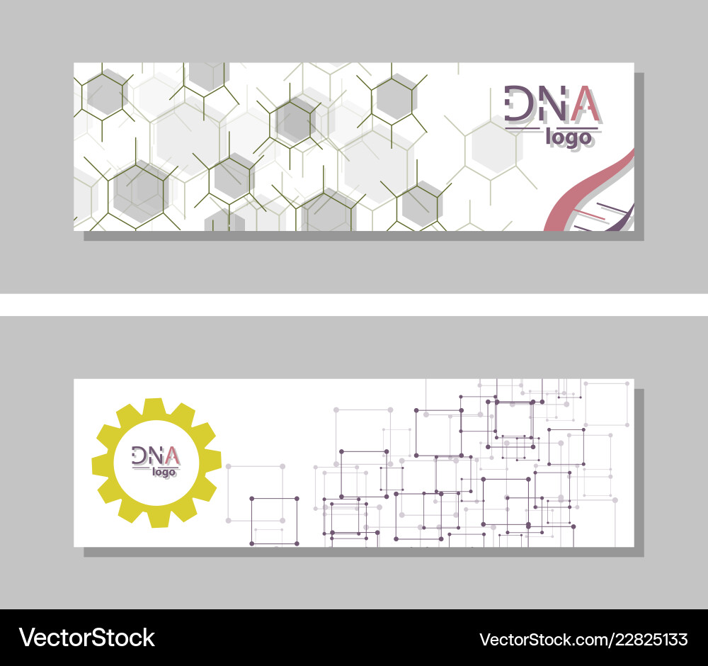 Dna molecule brochure template flyer layout Vector Image