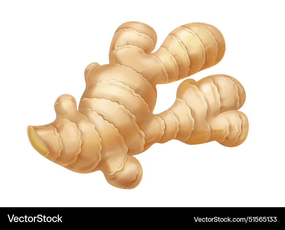 Ginger Vector Images (over 33,000)