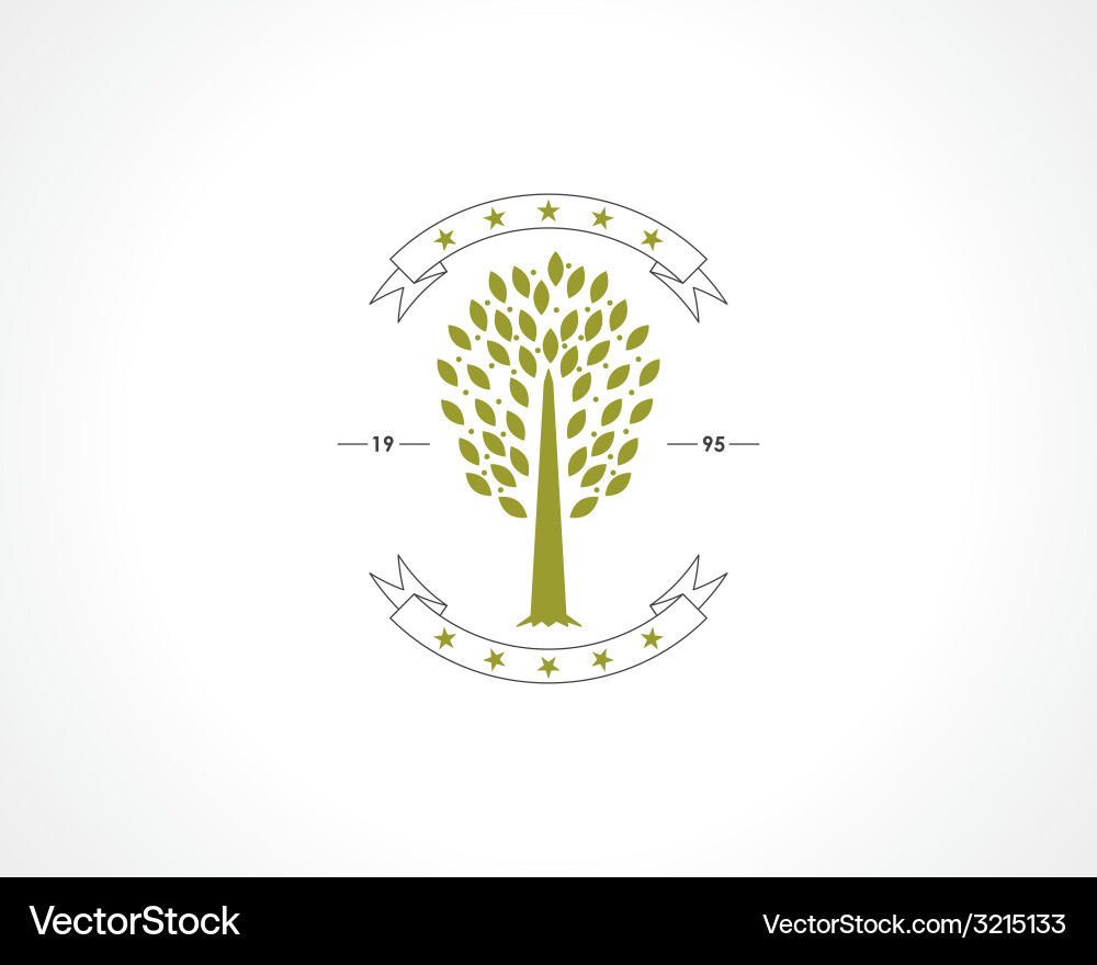 Olive tree Royalty Free Vector Image - VectorStock