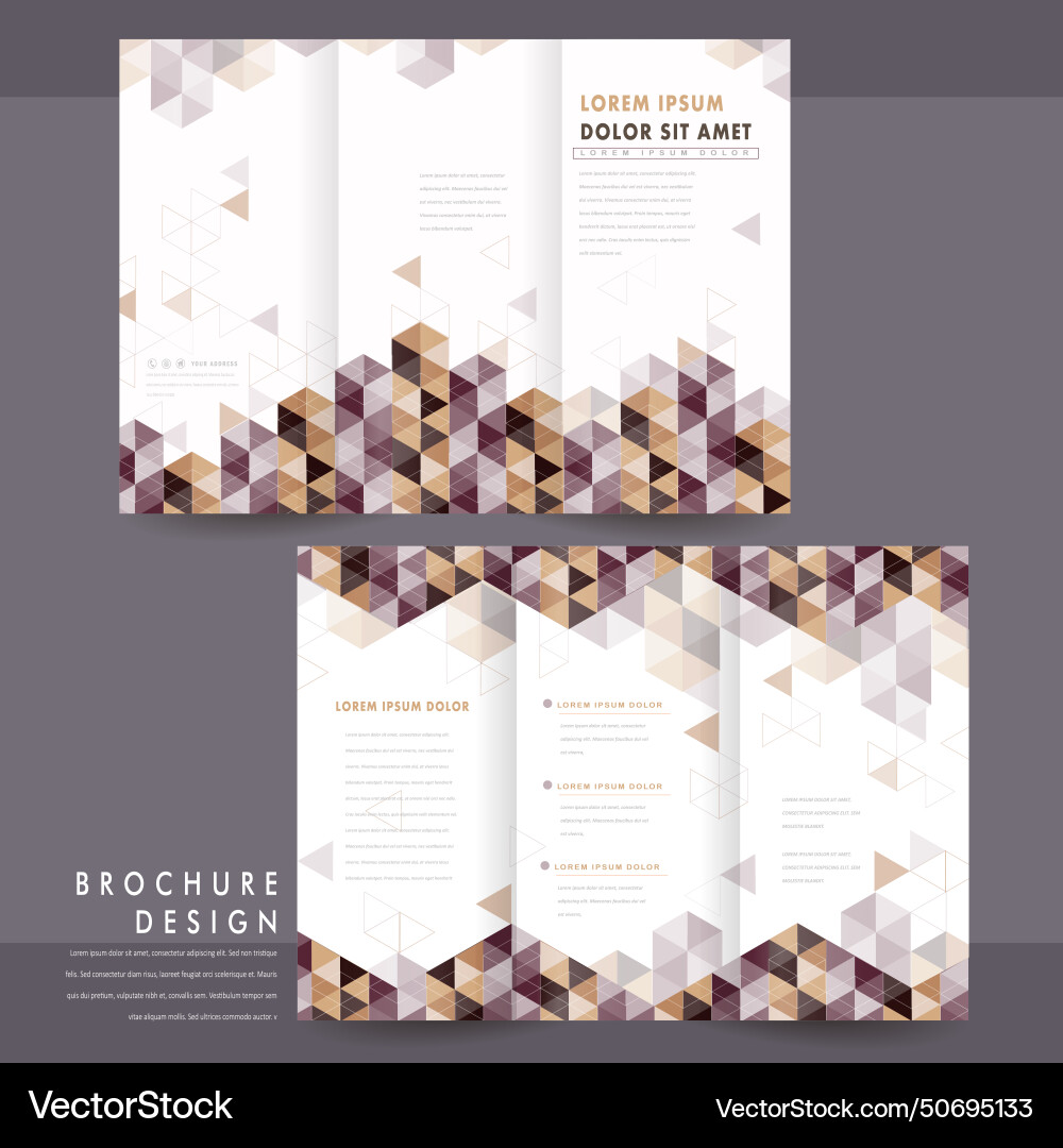Trendy tri-fold template design Royalty Free Vector Image