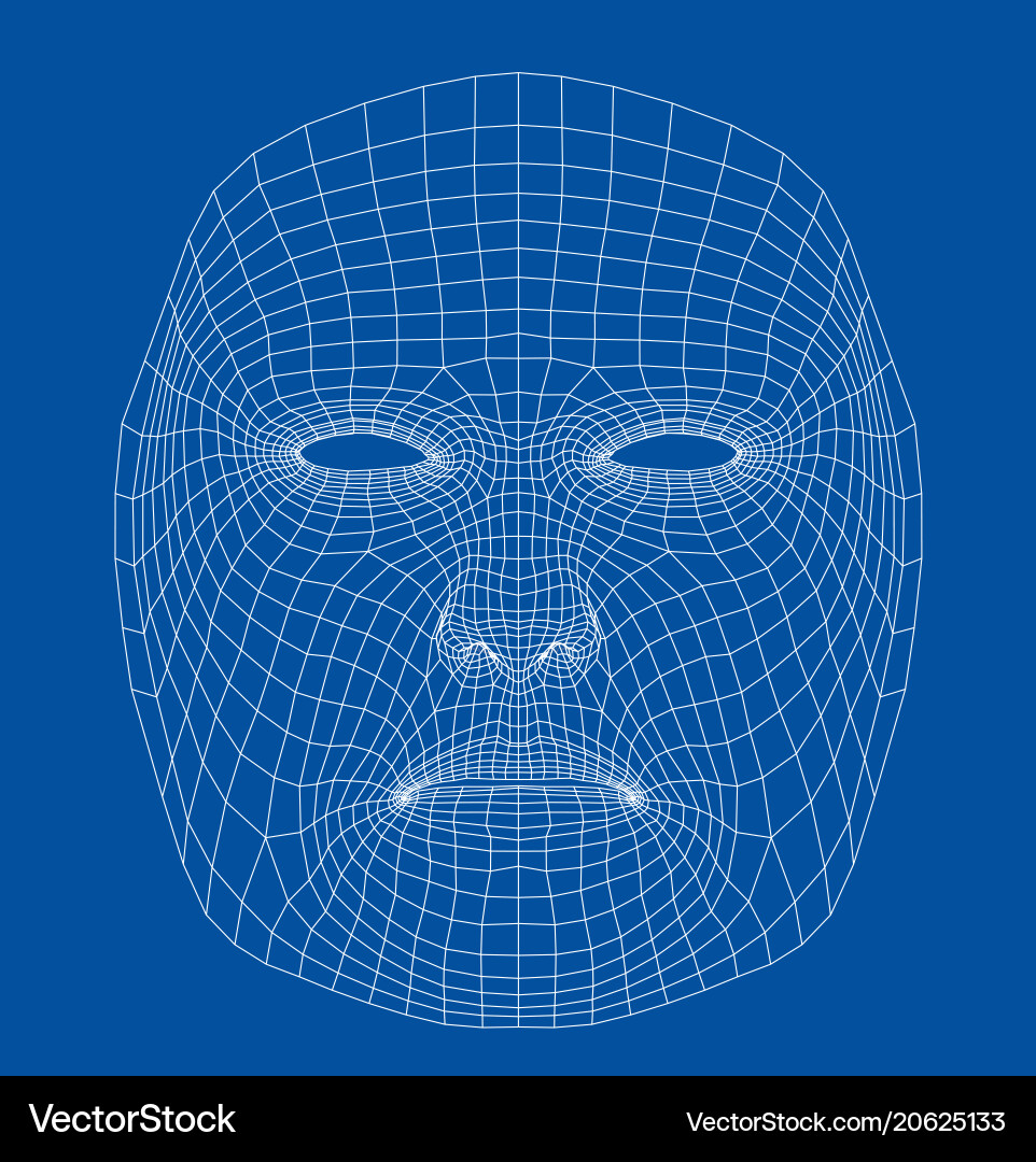 Wire-frame abstract human face Royalty Free Vector Image