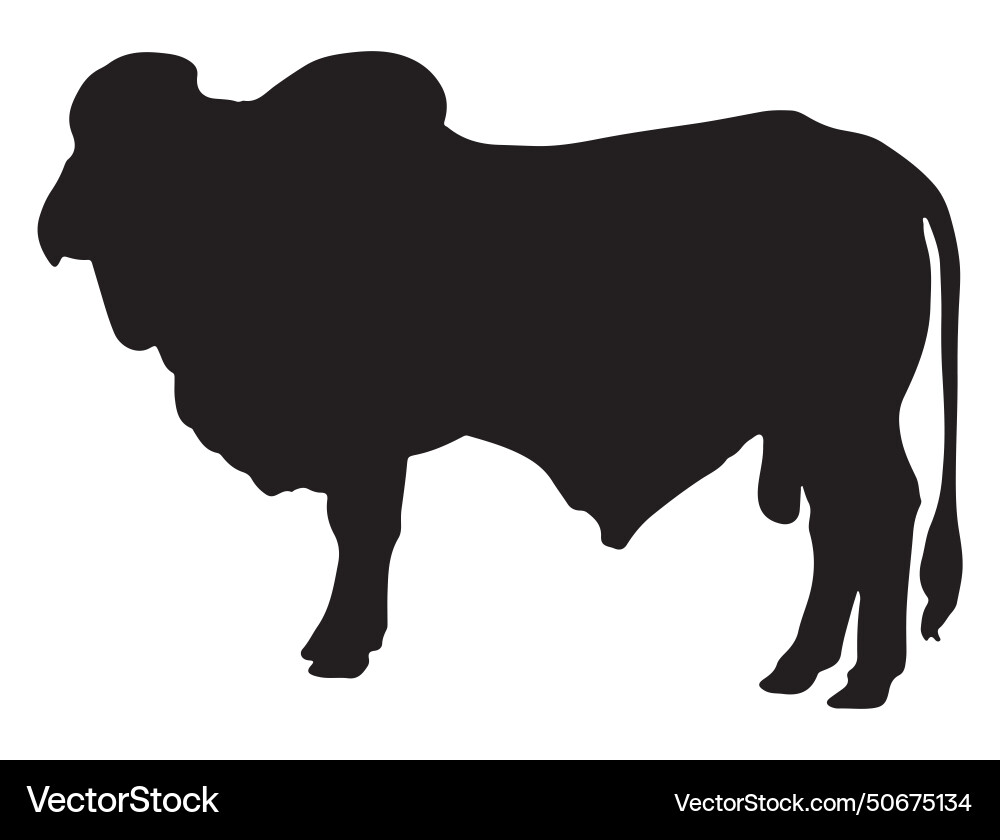 Brahman bull silhouette art Royalty Free Vector Image