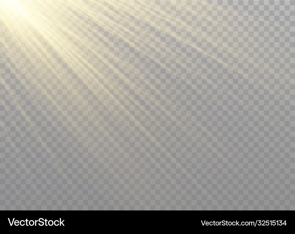 Flash effect sunlight Royalty Free Vector Image