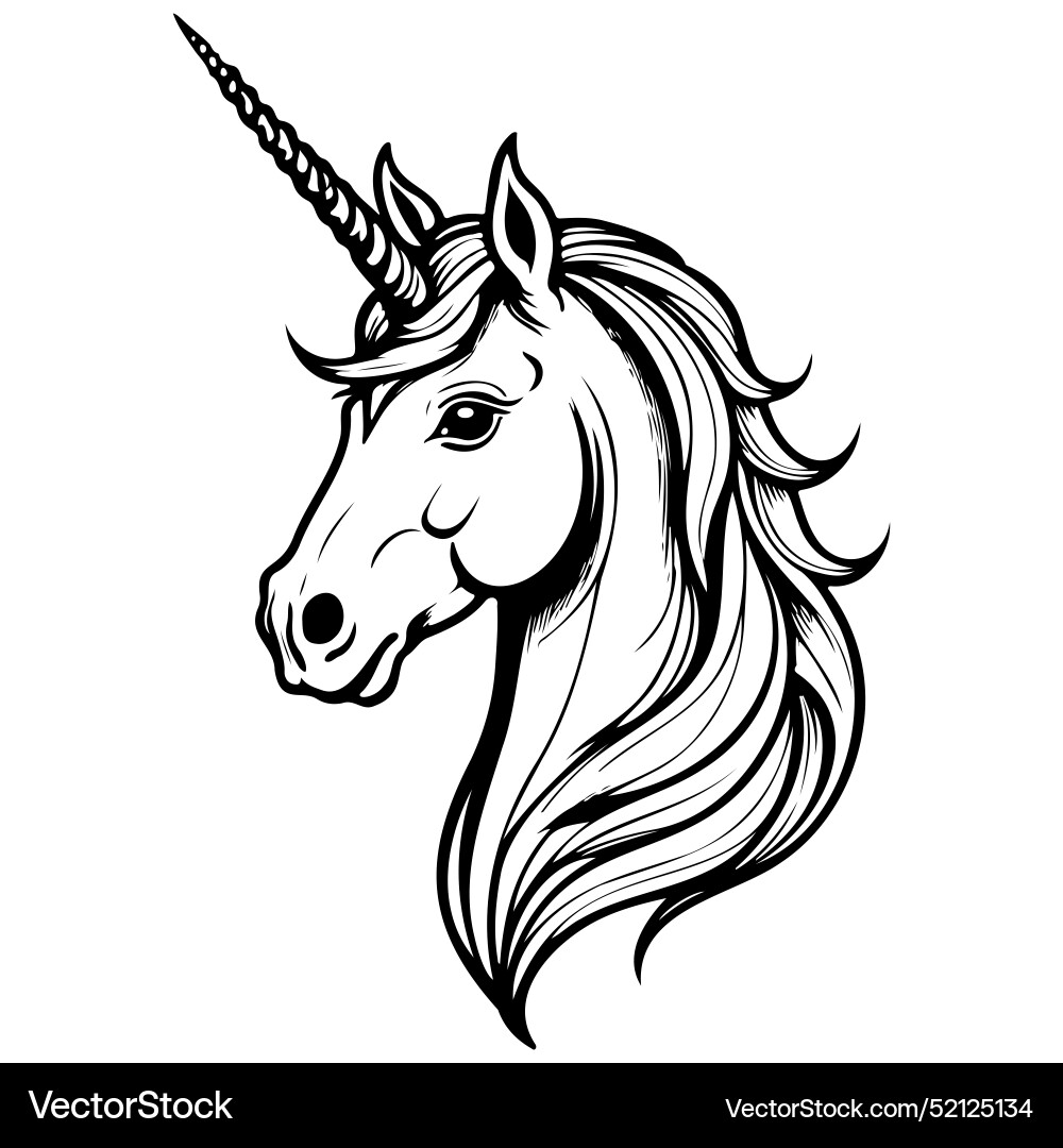 Unicorn drawing realistic hand line art Royalty Free Vector