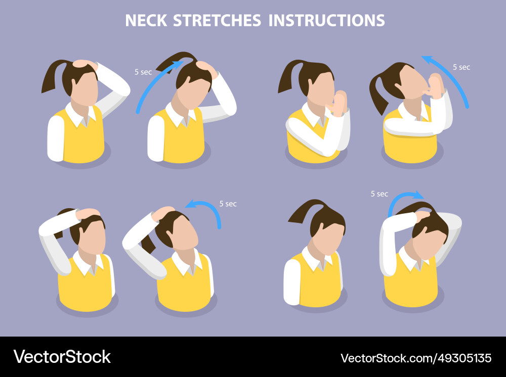 3d isometric flat of neck Royalty Free Vector Image