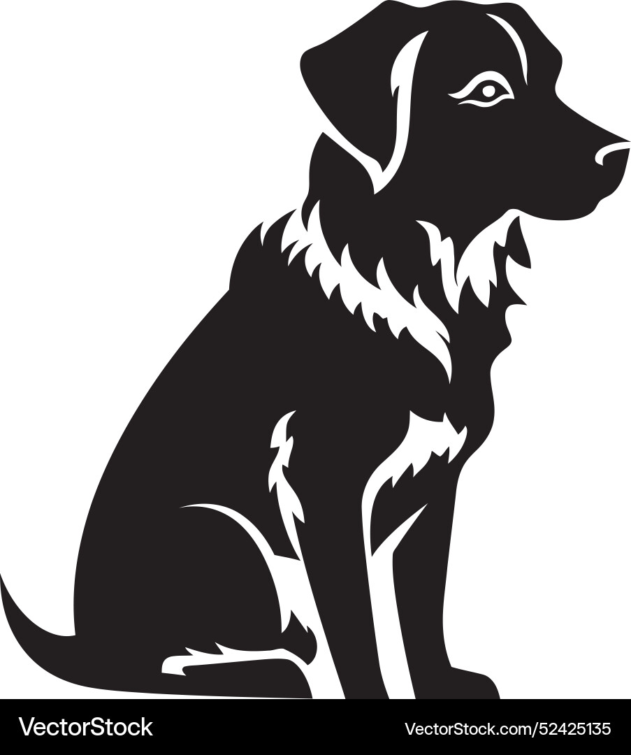 Digital doggy perspectives edition canine Vector Image