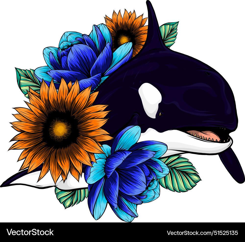 Killer whale or orca design Royalty Free Vector Image