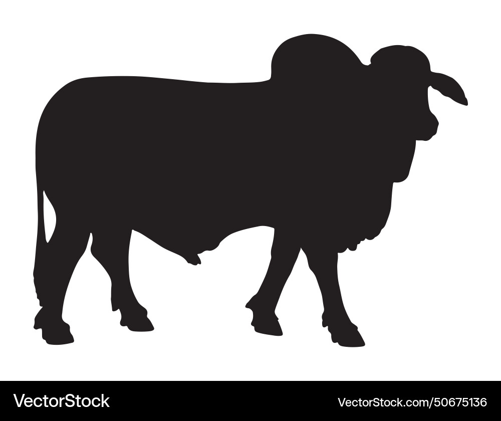 Brahman bull silhouette art Royalty Free Vector Image