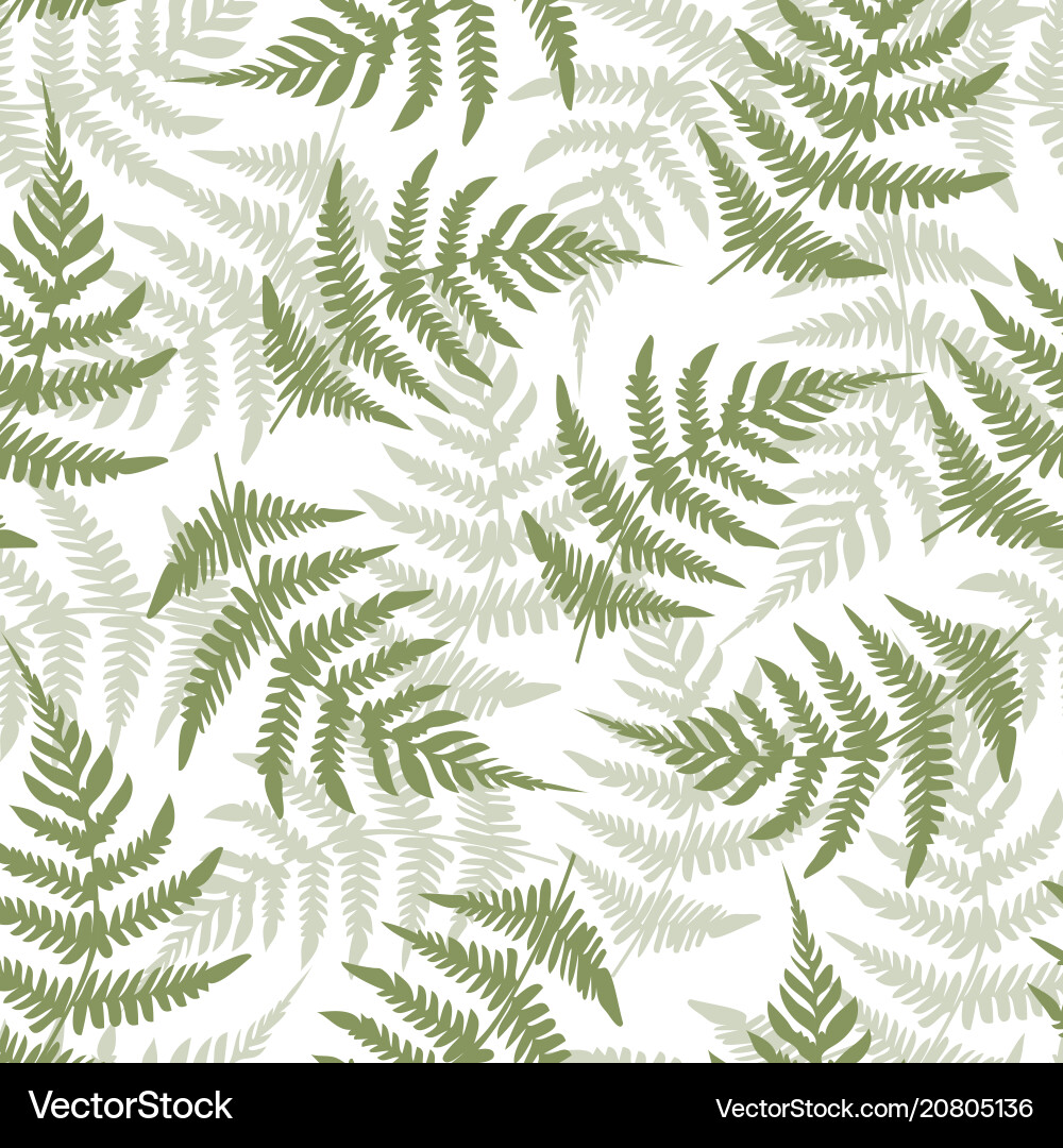 Fern Leaf Pattern Royalty Free Vector Image - VectorStock