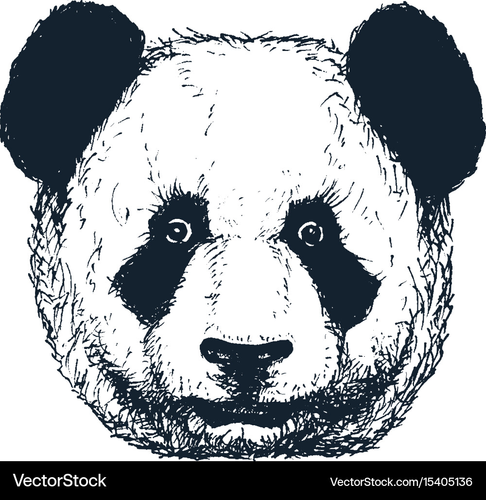 Hand drawn panda Royalty Free Vector Image - VectorStock