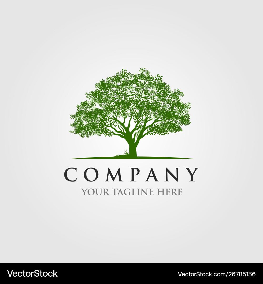 Trees logo design Royalty Free Vector Image - VectorStock