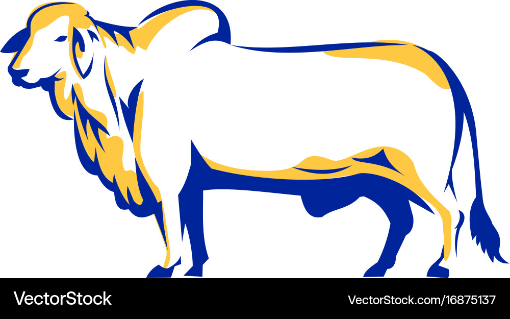 Brahman Cattle Vector Images (over 120)