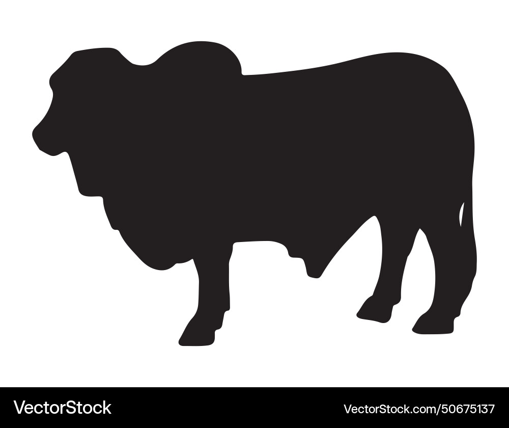 Brahman bull silhouette art Royalty Free Vector Image