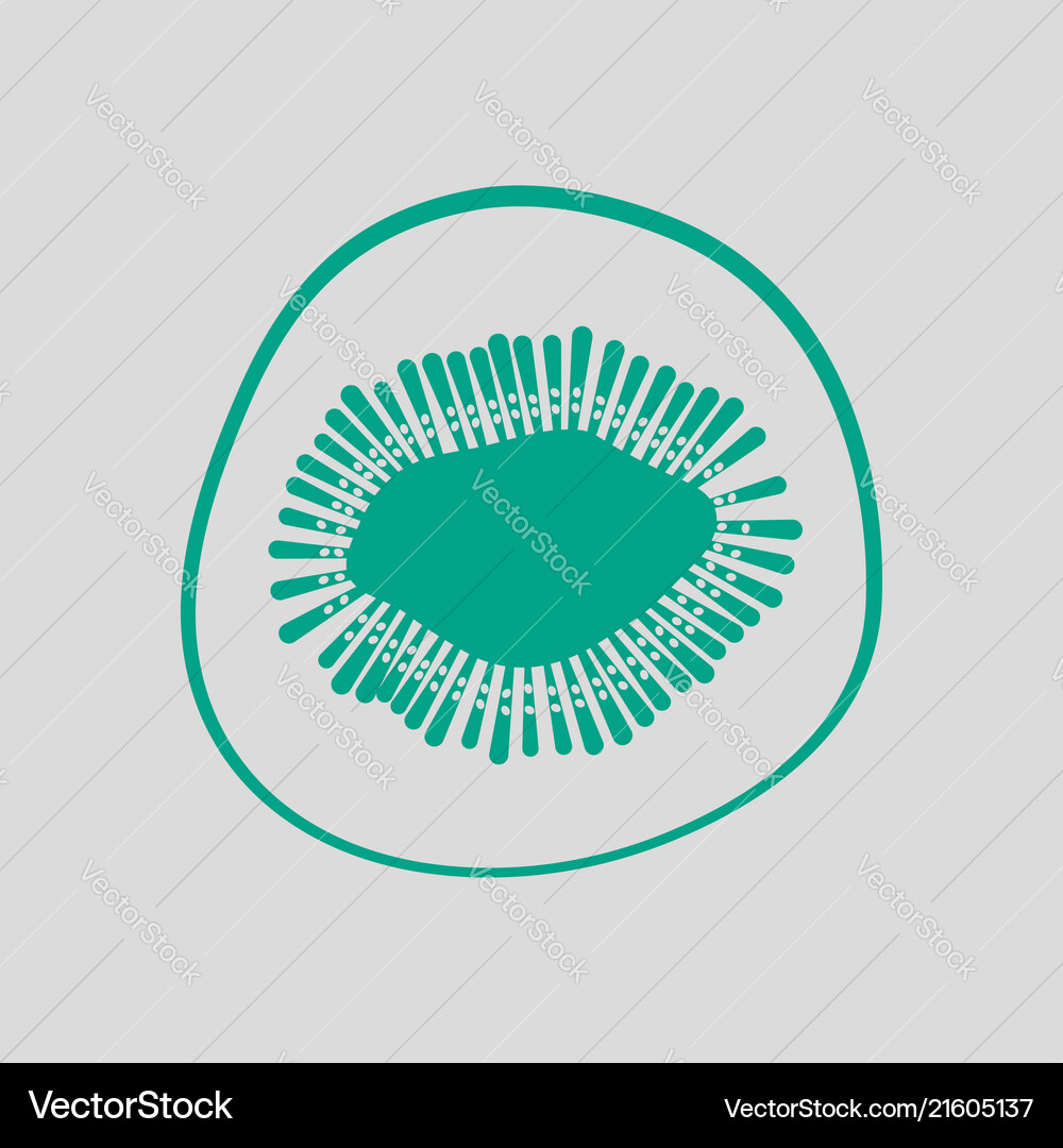Icon of kiwi Royalty Free Vector Image - VectorStock