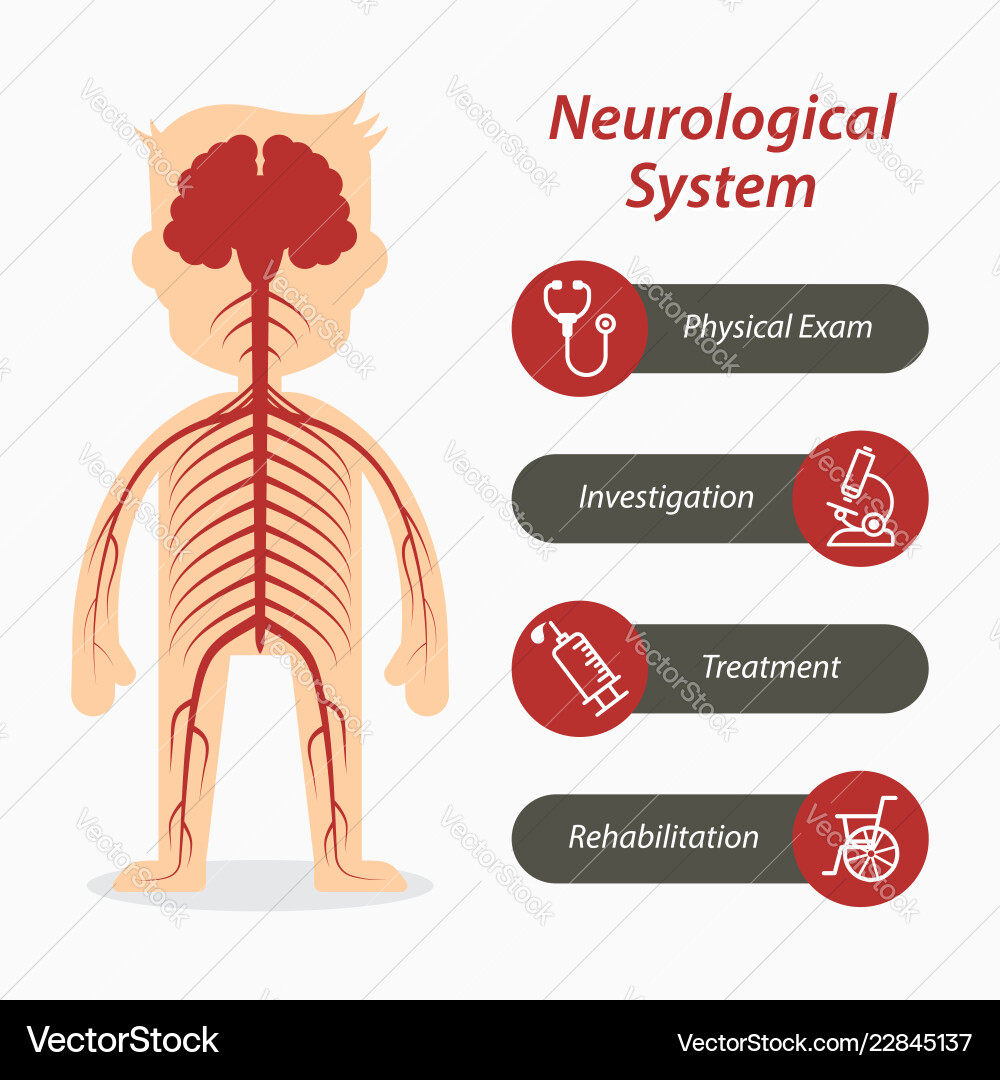 Neurological system and medical line icon Vector Image