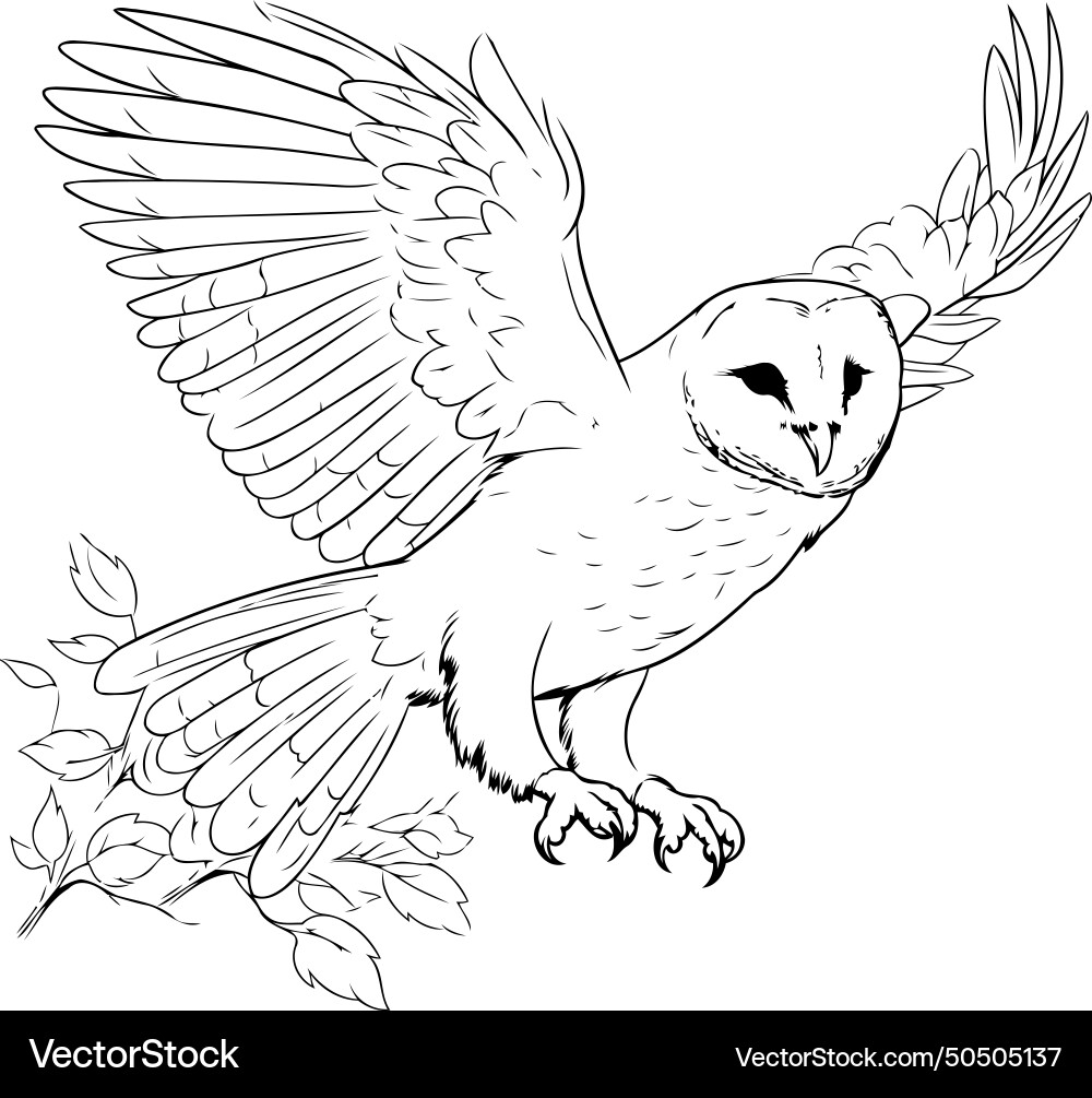 Owl with wings spread hand drawn isolated Vector Image