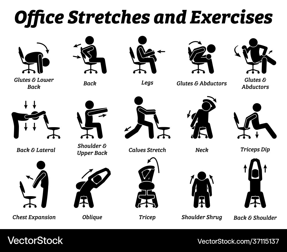 Working office stretches and exercises to relax Vector Image