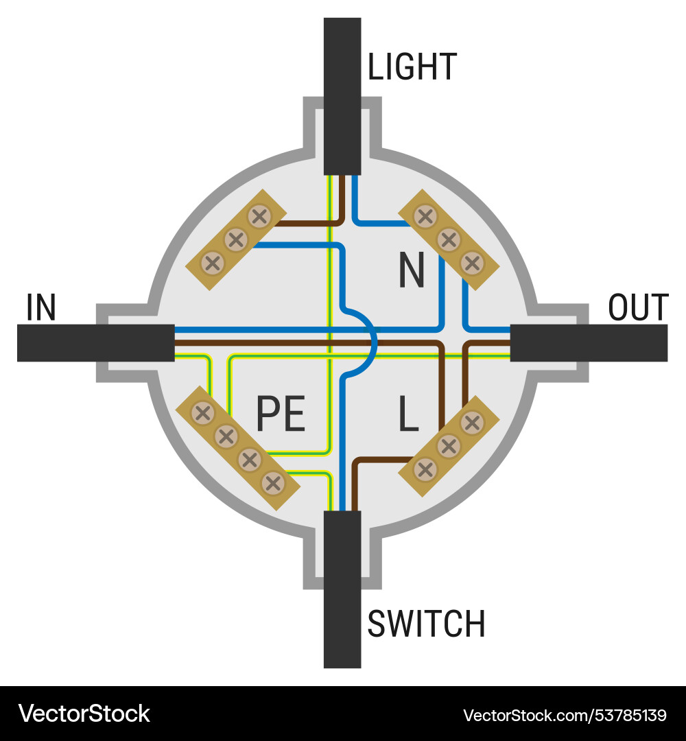 Diagram for a junction box lighting circuit Vector Image