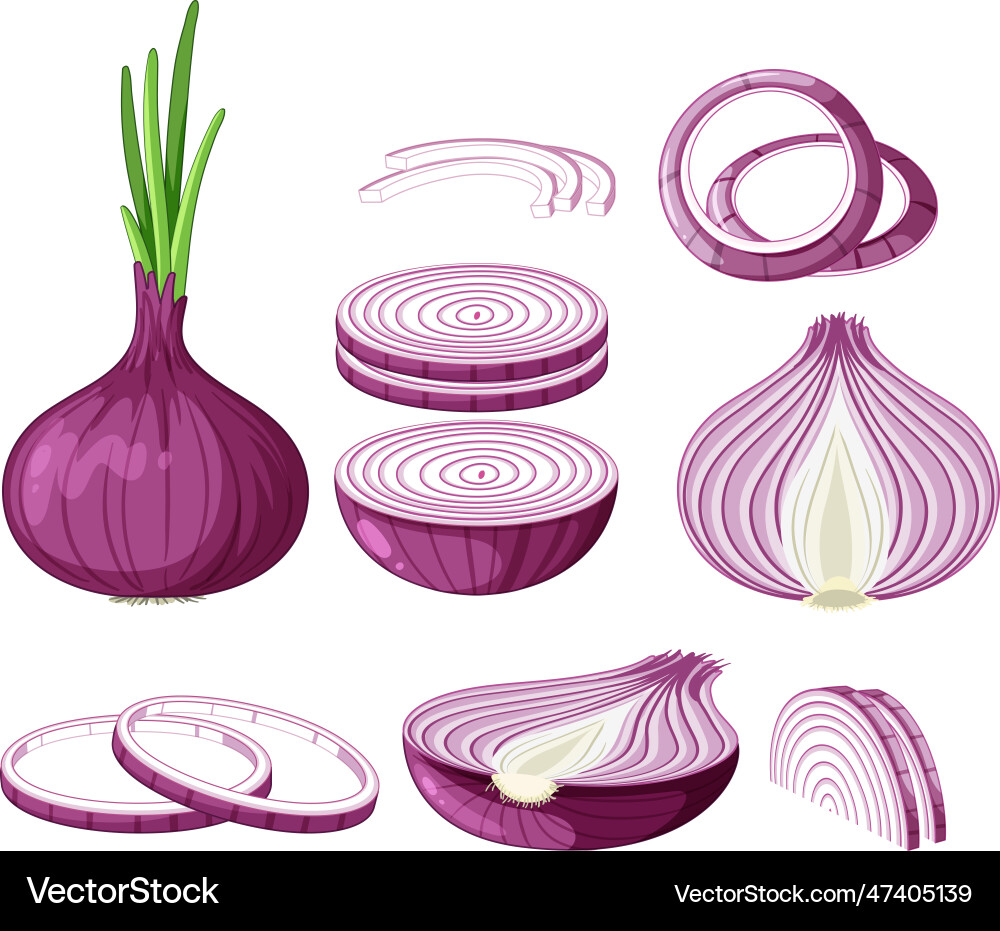 Isolated red onion cartoon Royalty Free Vector Image