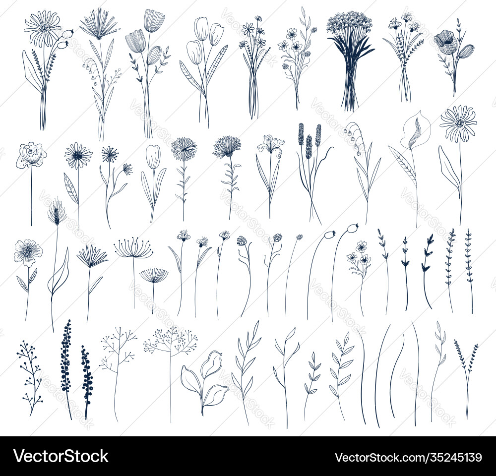 Set isolated flowers and bouquets Royalty Free Vector Image