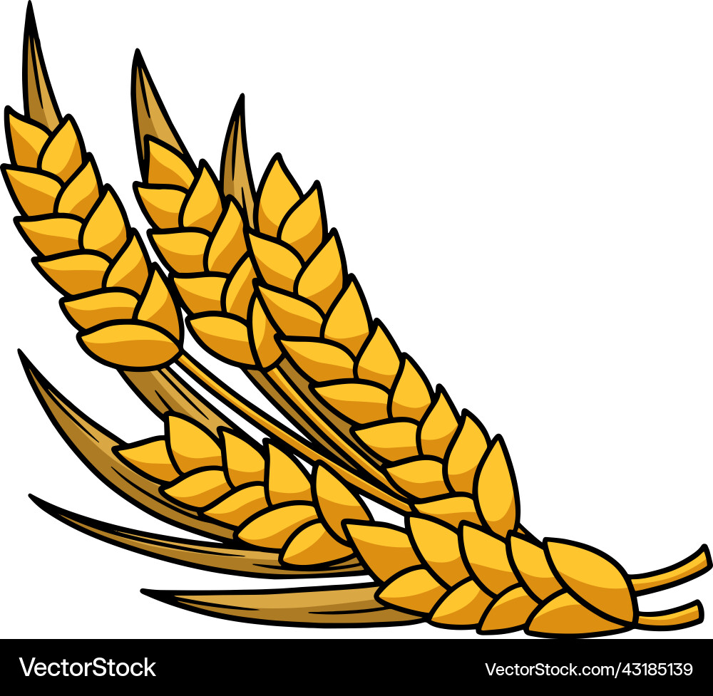 Wheat cartoon colored clipart Royalty Free Vector Image