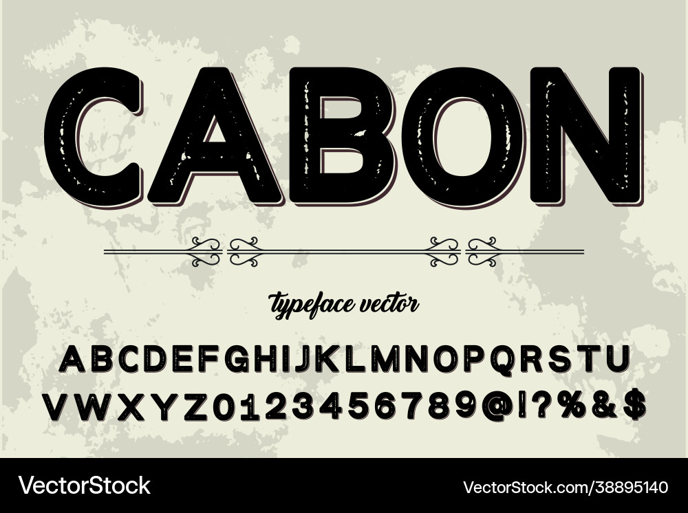 Alphabet font typeface design black and gray Vector Image