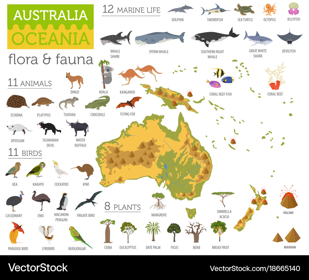 Australia and oceania flora fauna map flat Vector Image