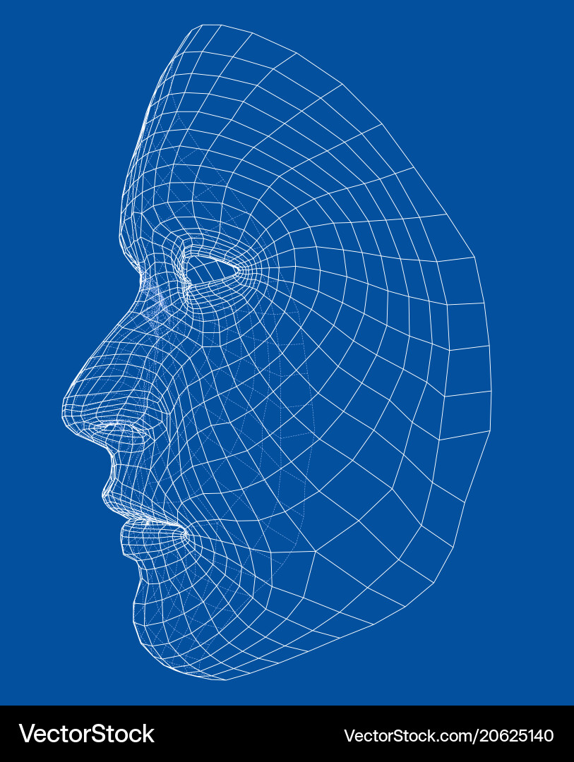 Wire-frame abstract human face Royalty Free Vector Image
