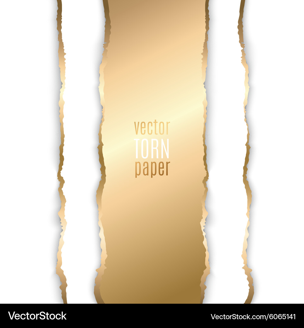 Gold and black torn paper Royalty Free Vector Image