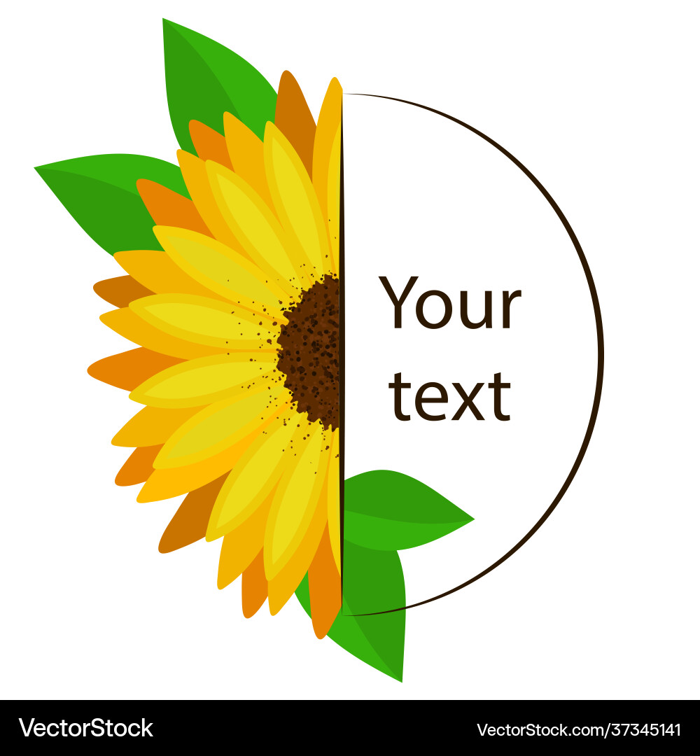 Monogram half sunflower flower and empty text Vector Image