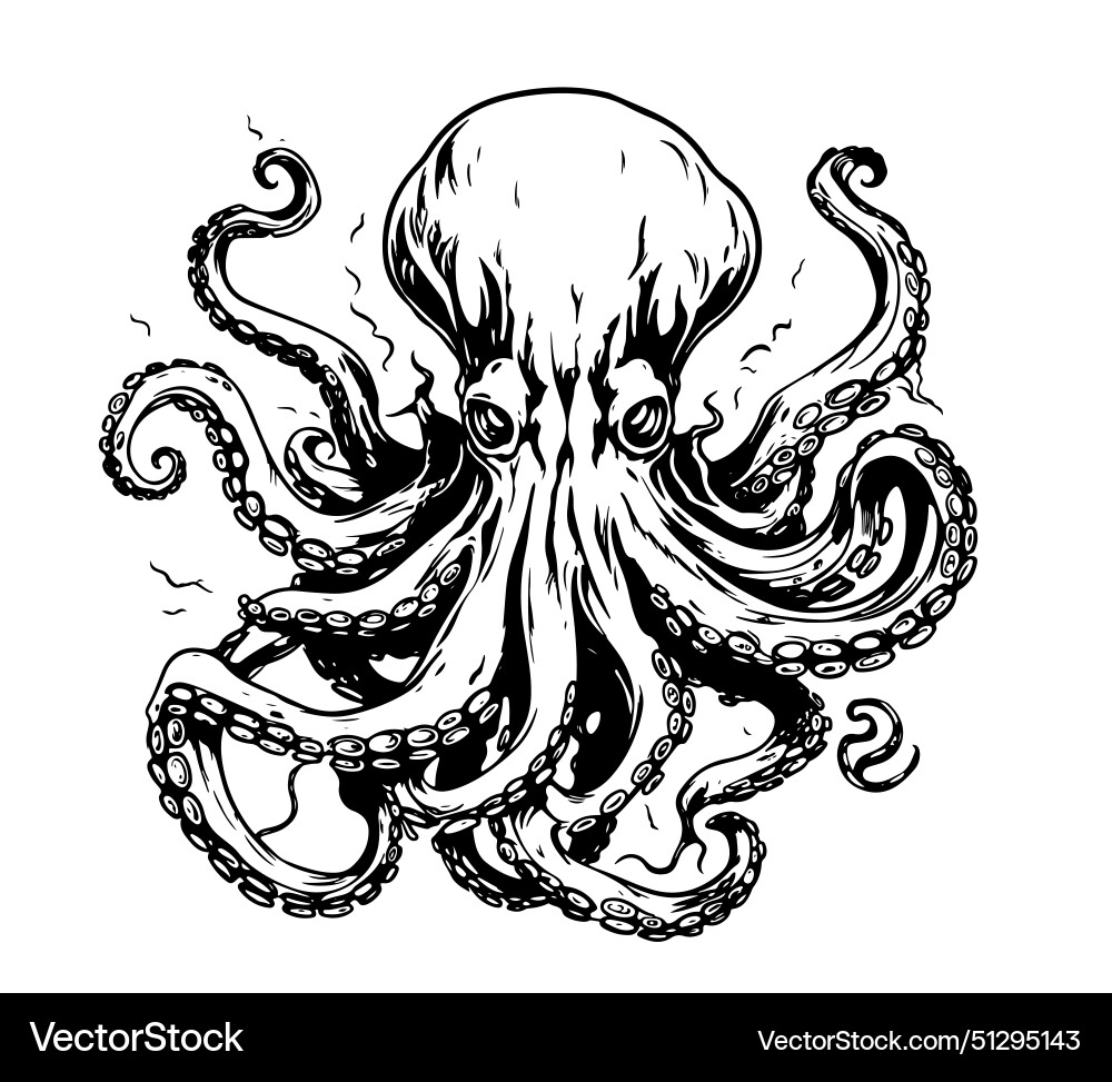 Octopus hand drawing vintage engraving on white Vector Image