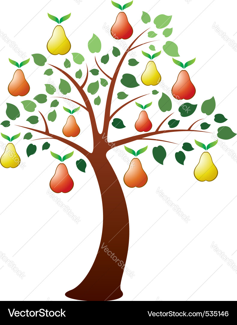 Pear tree Royalty Free Vector Image - VectorStock