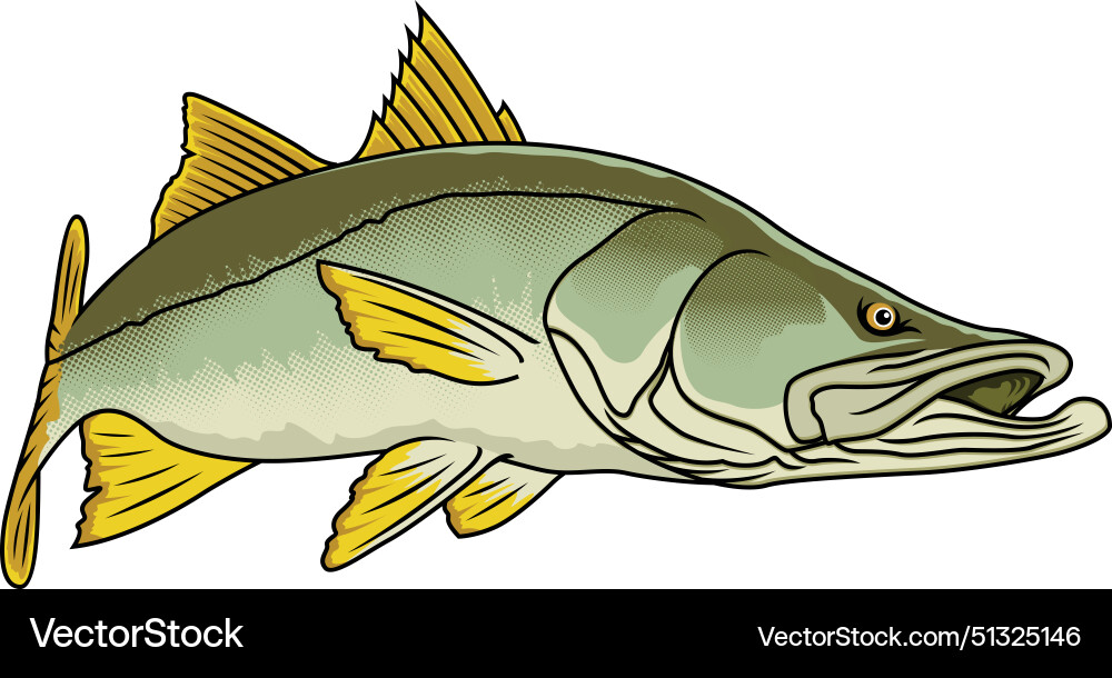 Snook fishing logo image t shi Royalty Free Vector Image