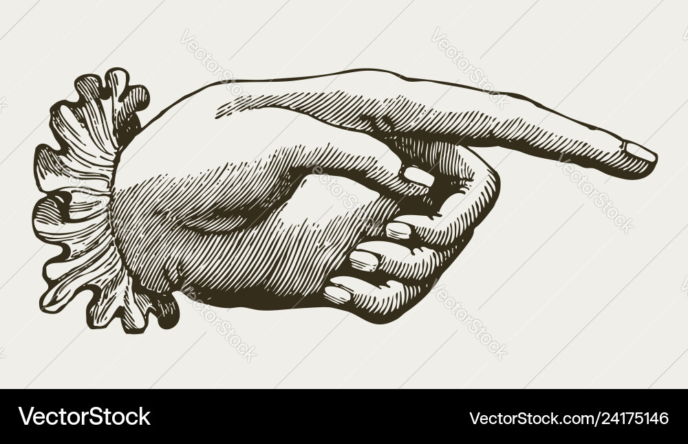 Lady Finger Sketch Vector Images (over 860)