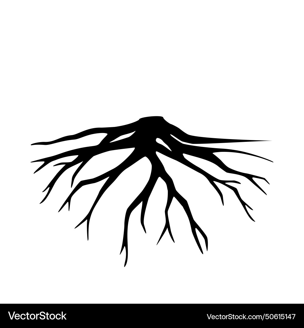 Tree Roots Silhouette Vector 21,200+ Tree Roots Vector Stock