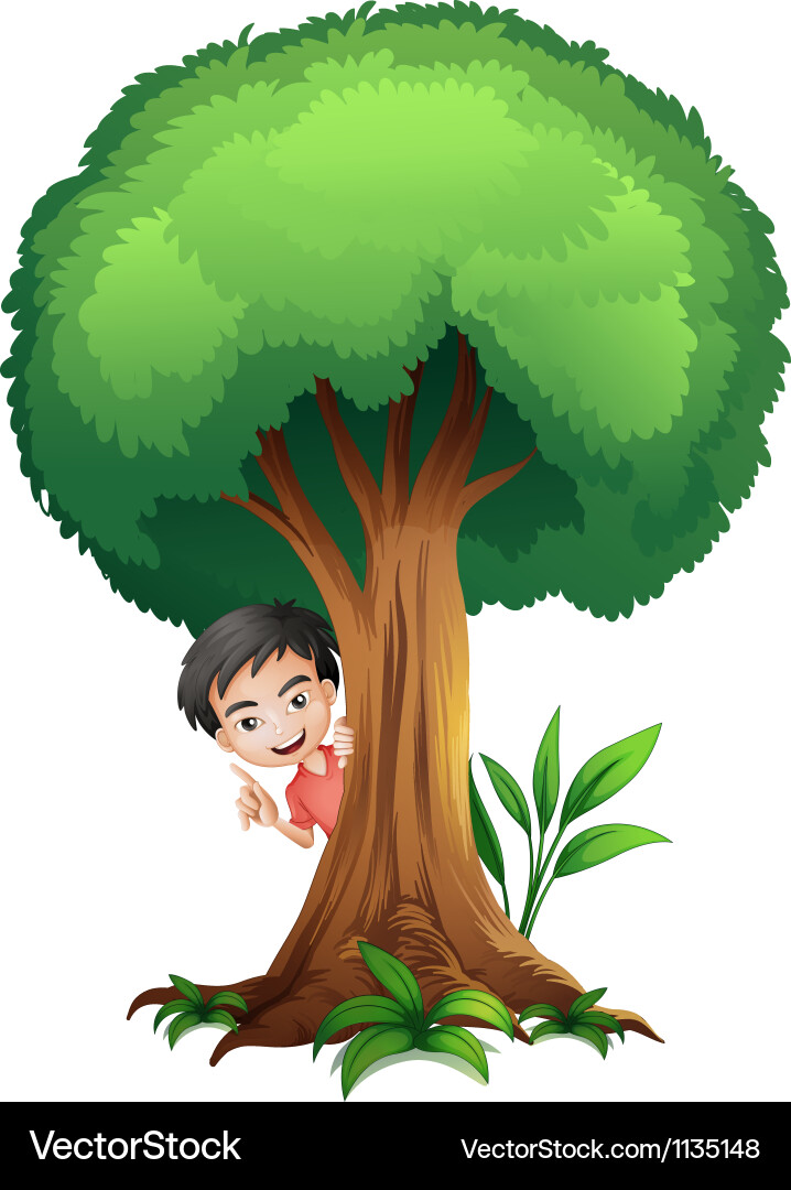 A boy and tree Royalty Free Vector Image - VectorStock