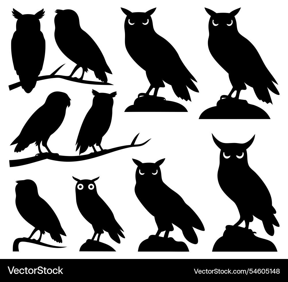 Owl silhouettes set Royalty Free Vector Image - VectorStock