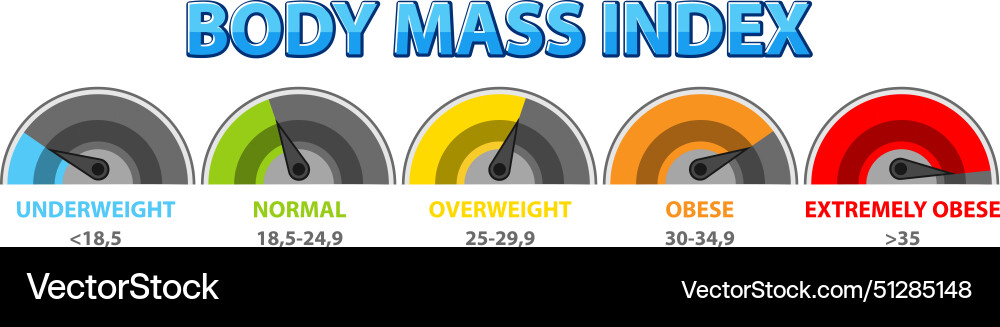 Visual representation of bmi categories Royalty Free Vector Visual representation of bmi categories Royalty Free Vector
