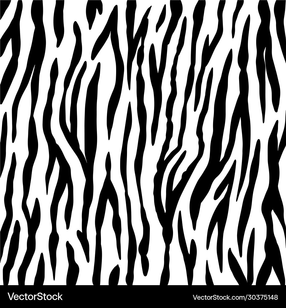 Zebra Stripes Pattern Royalty Free Vector Image