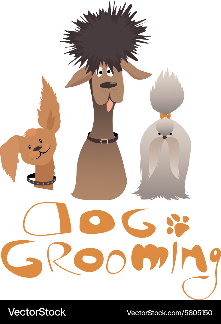 Dog grooming service Royalty Free Vector Image
