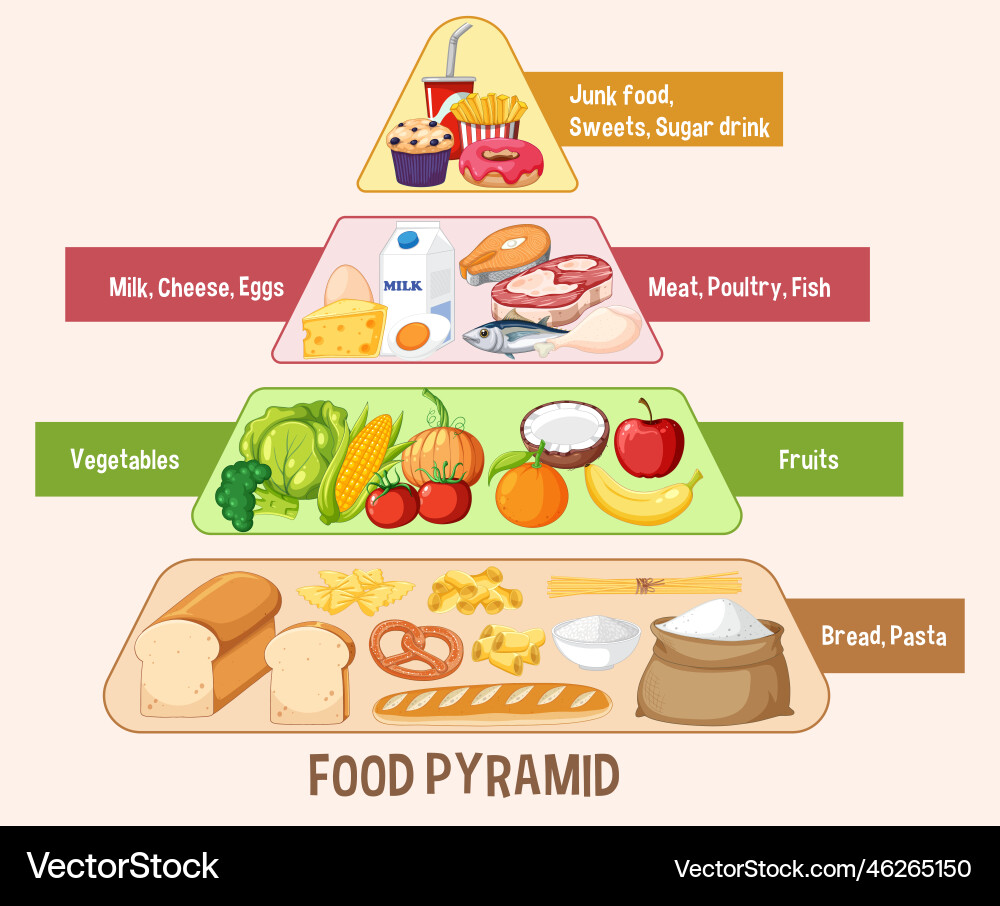 Food nutrition groups pyramid Royalty Free Vector Image