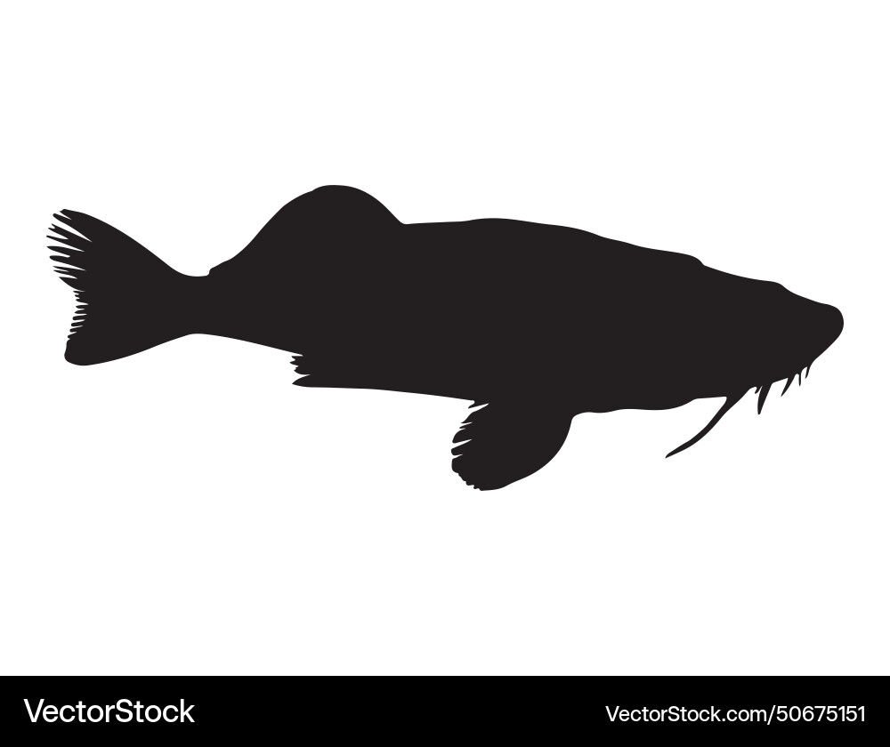 Catfish silhouette art Royalty Free Vector Image