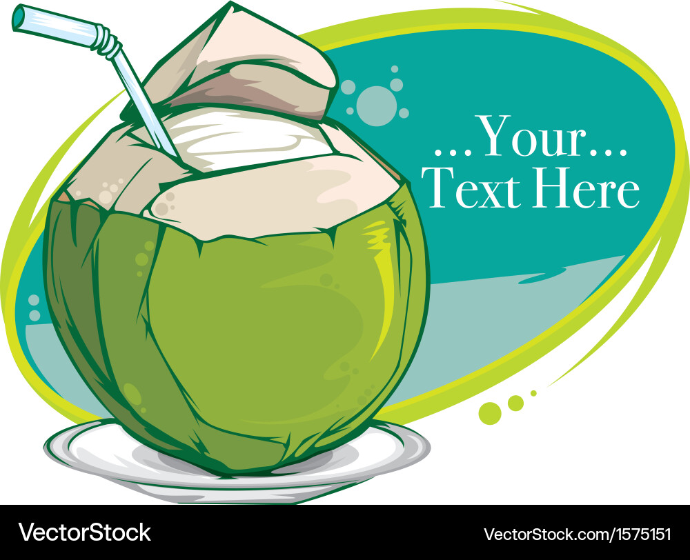 Coconut Royalty Free Vector Image - VectorStock