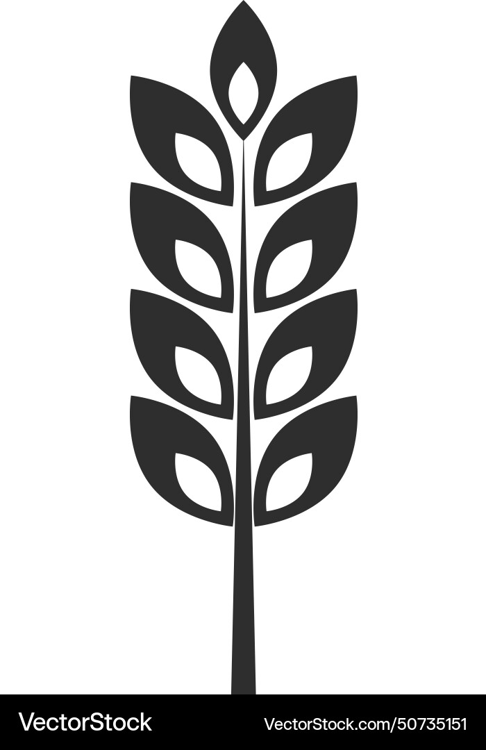 Grain crop ear black icon wheat symbol Royalty Free Vector