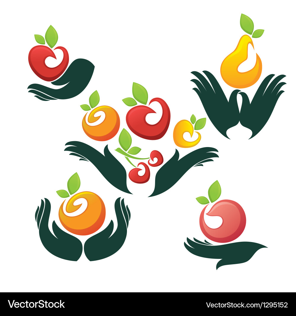 Hands and fruits Royalty Free Vector Image - VectorStock