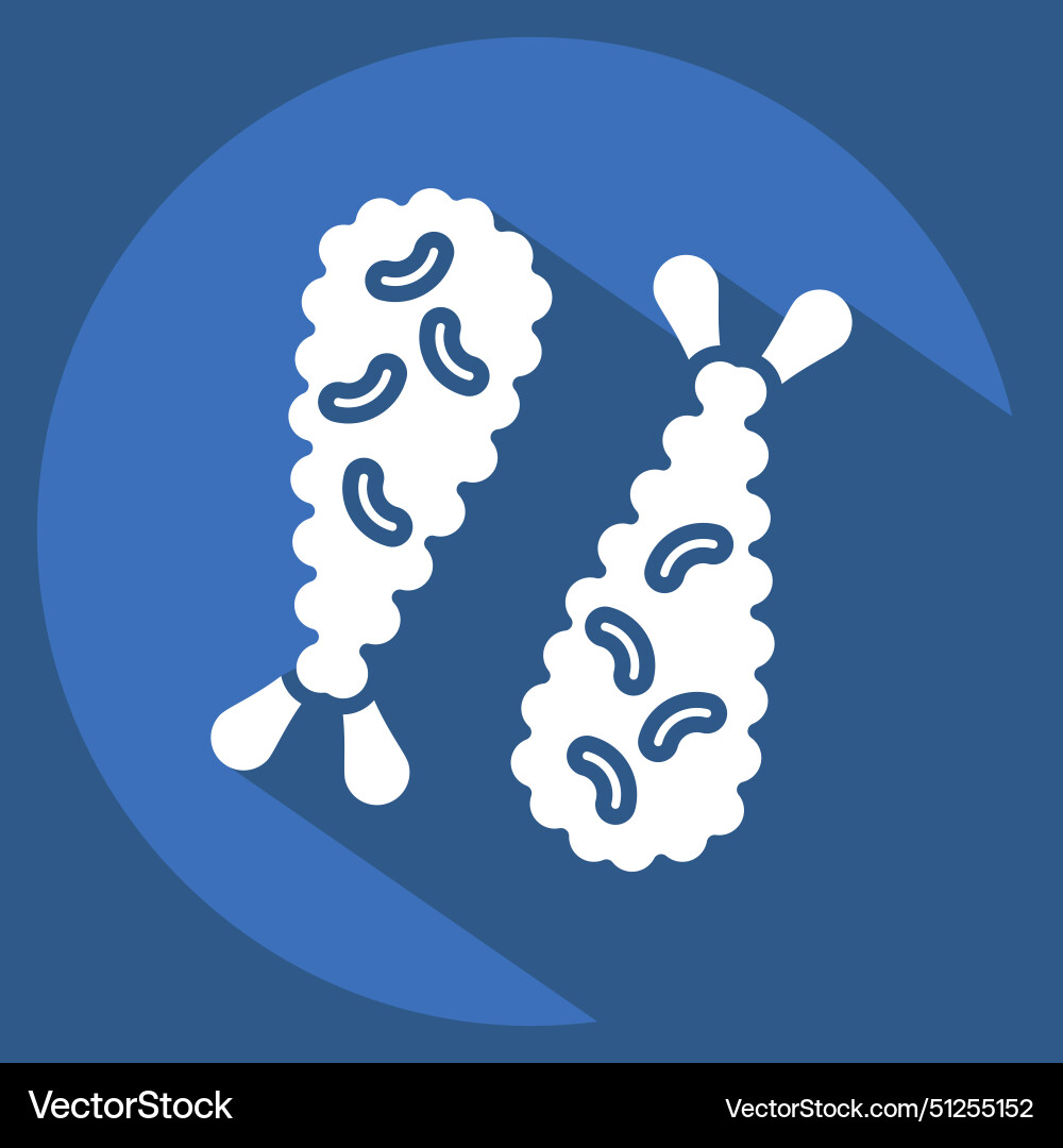 Icon ebi fry related to seafood symbol long Vector Image