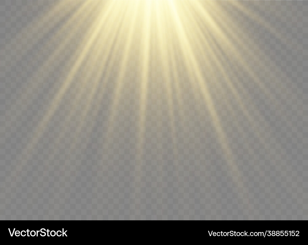 Sunlight lens flash light effect sun ray Vector Image