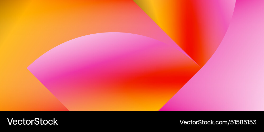 Bright color circle and round element minimal Vector Image