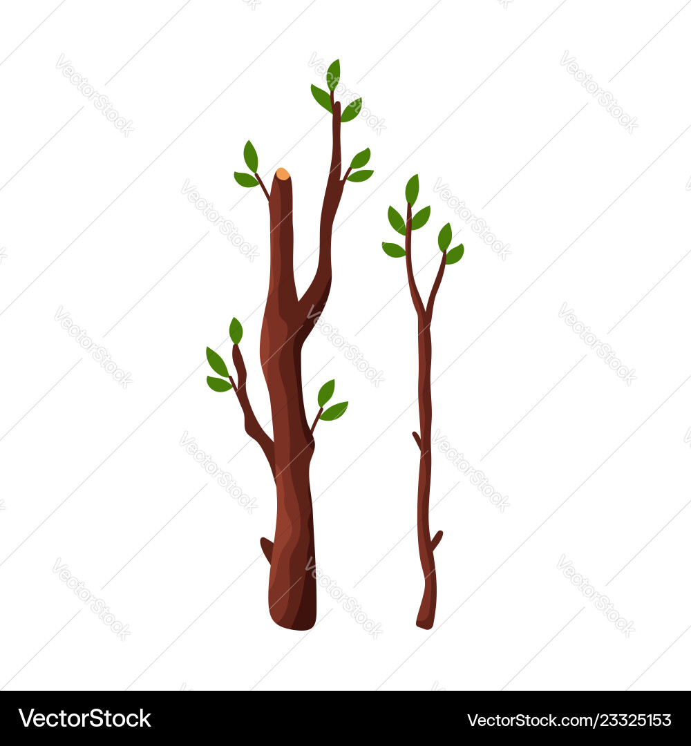 Cartoon tree branches with green leaves isolated Vector Image