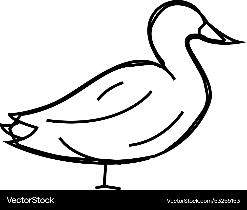 Duck farm bird line icon Royalty Free Vector Image